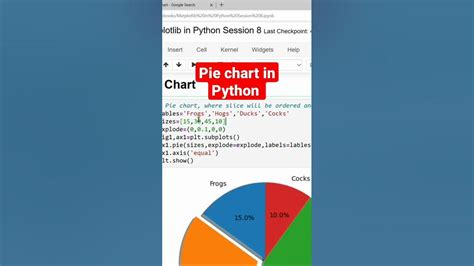 Pie Chart In Python Youtube