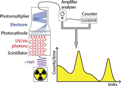 Gamma Spectroscopy Analysis At Joan Leet Blog