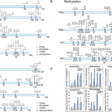 Identification Of Post Translational Modification Sites On Histones
