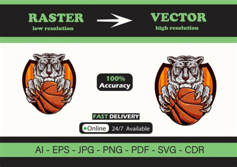 Do Vector Tracing Cleanup Redraw Logo Image To Vector By Adamsmith662 Fiverr