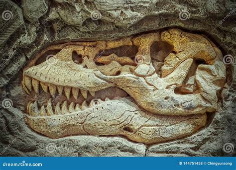 Model Dinosaur Fossil Dinosaurs Are A Diverse Group Of Reptiles Of The