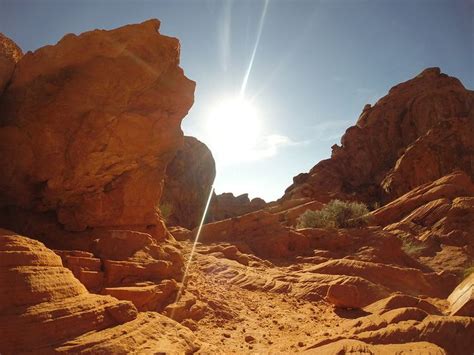 Difference Between Algorithm And Model In Machine Learning Machine