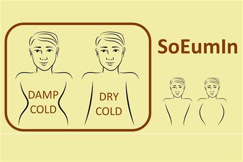 Body Shape Of Soeumin Sasang Constitution Acupuncture Times