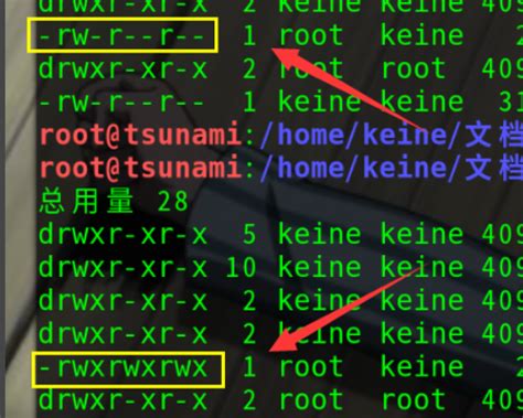 Linux 给所有文件下文件加权限 百度经验 Linux 给所有文件下文件加权限 百度经验
