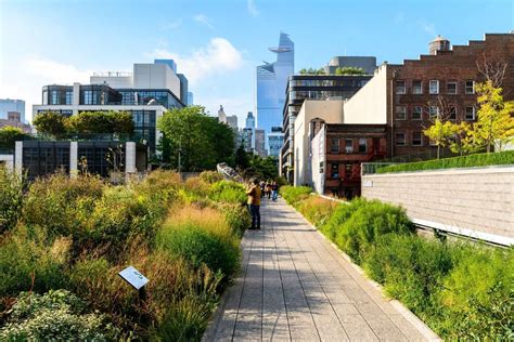 40 Facts About Green Infrastructure