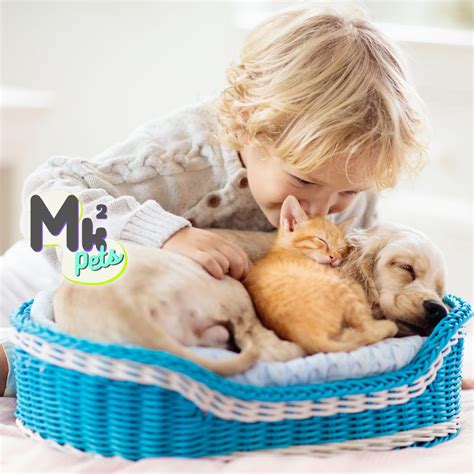 Elegir El Nombre Perfecto Para Tu Cachorro 5 Consejos E Ideas Para Pe