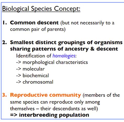 Speciation Taxonomy Phylogeny Ch 10 Flashcards Quizlet