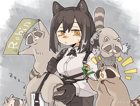 Raccoon Danbooru