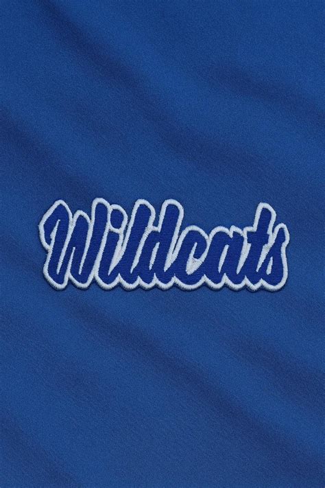 Wildcats Text Embroidered Applique Iron On Patch Various Sizes Team
