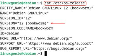 How To Check OS Version On Debian Linux Genie