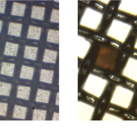 Sieve of µm used in the conducted experiments Download Scientific Diagram