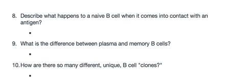 Solved 8 Describe What Happens To A Naive B Cell When It