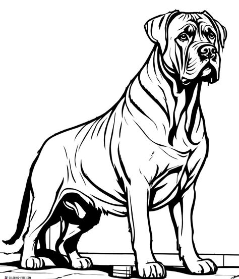 35 Dog Coloring Pages Free Unique Printables
