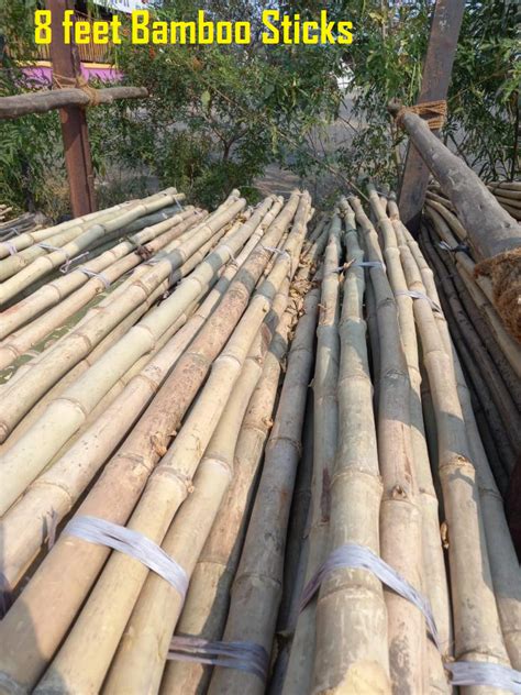 Bamboo Sticks