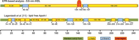 Schematic Representation Of Secondary Structure Distribution Of Apoa I