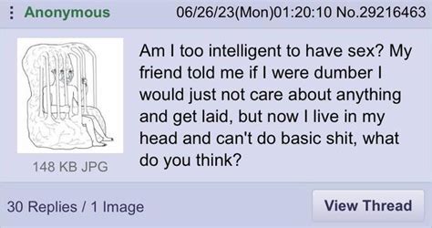 Anon Is Too Smart For Sex R Greentext Greentext Stories Know Your Meme