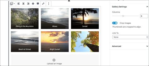 How To Add And Align Images In WordPress Gutenberg Block Editor GreenGeeks