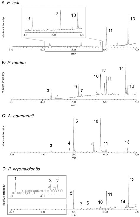 Gc Ms Chromatogram Of Fames Derived From Lipid Extracts Lipid Extracts