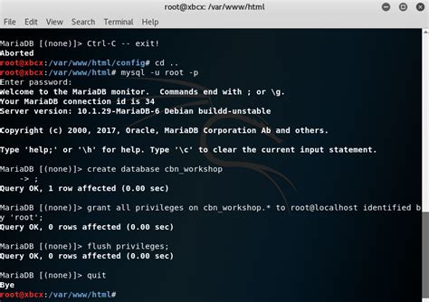 installing and setting dvwa damn vulnerable web application