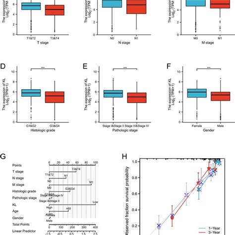 Shows The Significant Correlation Between The Kl Gene And Various Download Scientific Diagram