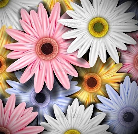 Colorful Gerberas Background