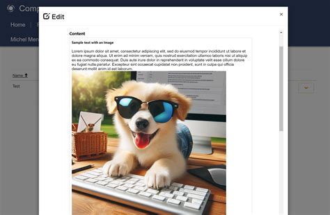 Power Pages Use A Custom Rich Text Files Table To Store Images And Avoid Exposing The Full