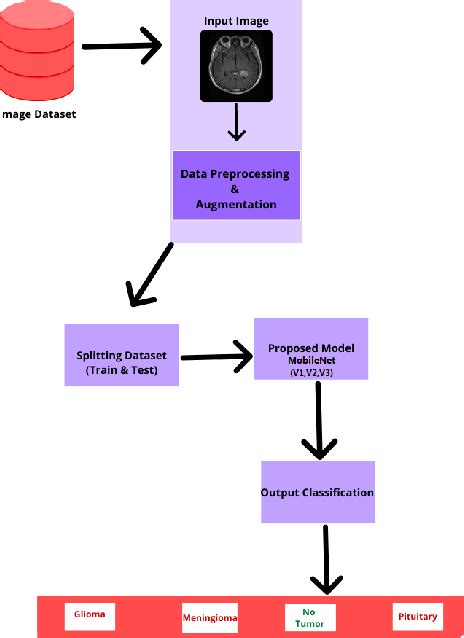 Figure 2 From Comparative Analysis Of Fine Tuned Mobilenet Versions To Detect Brain Tumors From