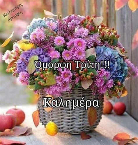 「Καλημερα」おしゃれまとめの人気アイデア｜pinterest｜elisabeth Christodoulatos