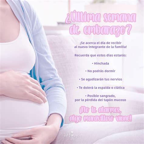 ¿qué Es La Criptorquidia Infogen