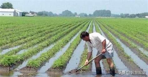 今年起，農民真的有可能不再種地？ 每日頭條