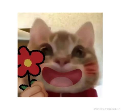 数据库（db、dbms、sql）db数据库 Csdn博客