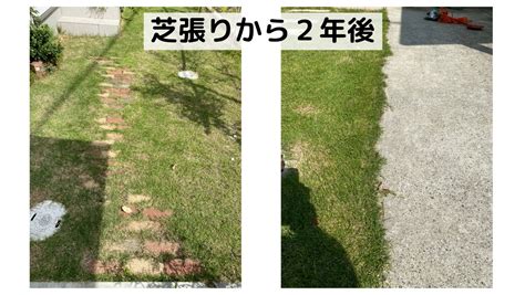 放置してない？芝生の境界を綺麗に縁取りする方法！ 小さなお庭ラボ