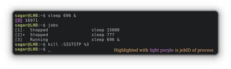 How To Use Sigint And Other Termination Signals In Linux