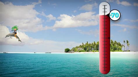 Integers In Real Life