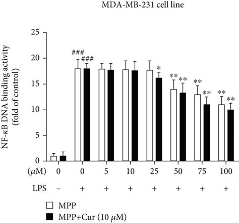 The Dna Binding Activity Of Nf κb In Lps Stimulated A Mda Mb 231