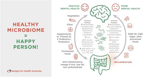 Designs For Health Aus On Linkedin The Gut Brain Axis Is A