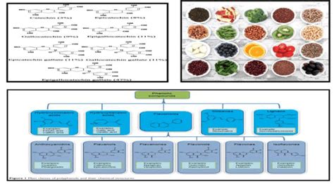 Biological Effects Of Tea Polyphenols On Human Health A Review
