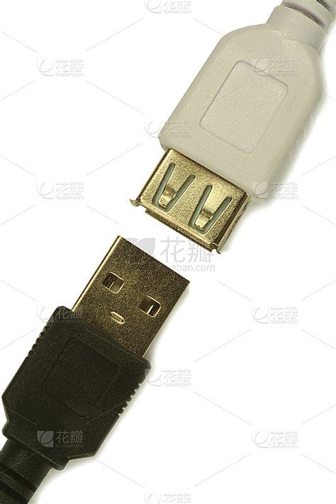 电脑连接器，白色和黑色塑料，断开