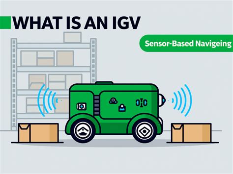 Whats The Difference Between Agv Igv And Rgv 2025 Guide