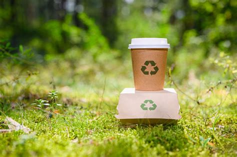 숲에 재활용 표지판이 있는 음식을 담는 종이 용기 오염으로부터 자연과 생태를 보호하고 환경 친화적 인 재료를 사용합니다 0명에 대한 스톡 사진 및 기타 이미지 Istock
