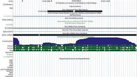 Figure 2 From Ellobius Lutescens Sex Determination And Sex Chromosome