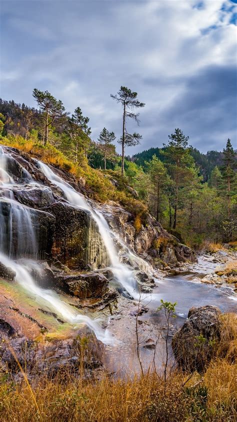 배경 화면 Rogaland 노르웨이 나무 폭포 바위 1920x1200 그림 이미지