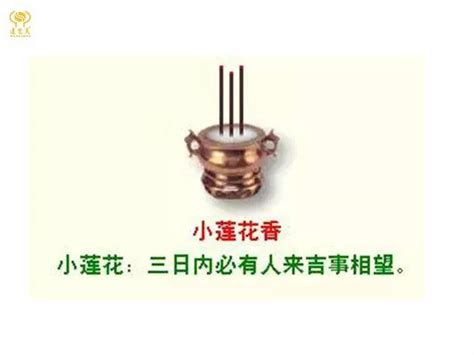催丹香图片 出现催丹香咋办 催供香和催丹香图片 第4页 大山谷图库