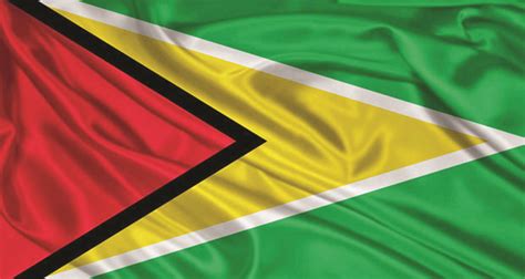 Give Us Better Governance Not New Flags” Pppc Tells Govt Guyana Times