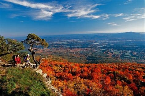 The Best Trees For Fall Colors In Arkansas Only In Arkansas