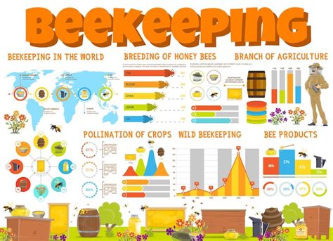 Premium Vector Beekeeping And Honey Bee Products Infographics