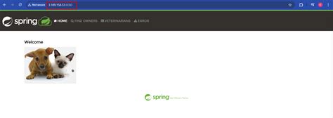 Distroless Images And Docker Multi Stage Explained