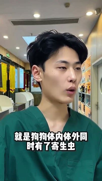 你家的狗狗总爱上床吗？狗狗是生活的解药 养狗经验分享 狗狗 养狗小知识 科学养宠攻略 Youtube