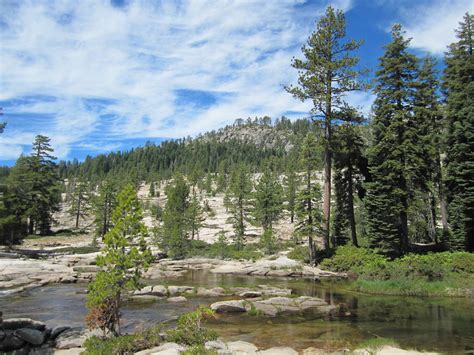 How To Wilderness Training For Adventurers