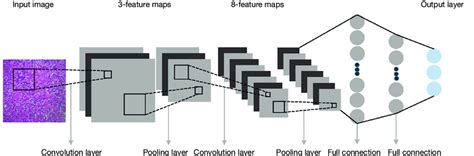 Architecture Of The Deep Cnn Used For Discriminating Nsclc Subtypes On